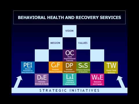 Behavioral Health & Recovery Services: Good Modern System