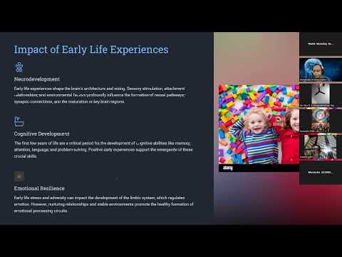 PT 3, Architecture of the brain, Fellowship class MK Sastry, 28/11/2024 Stroke, neuroplasticity