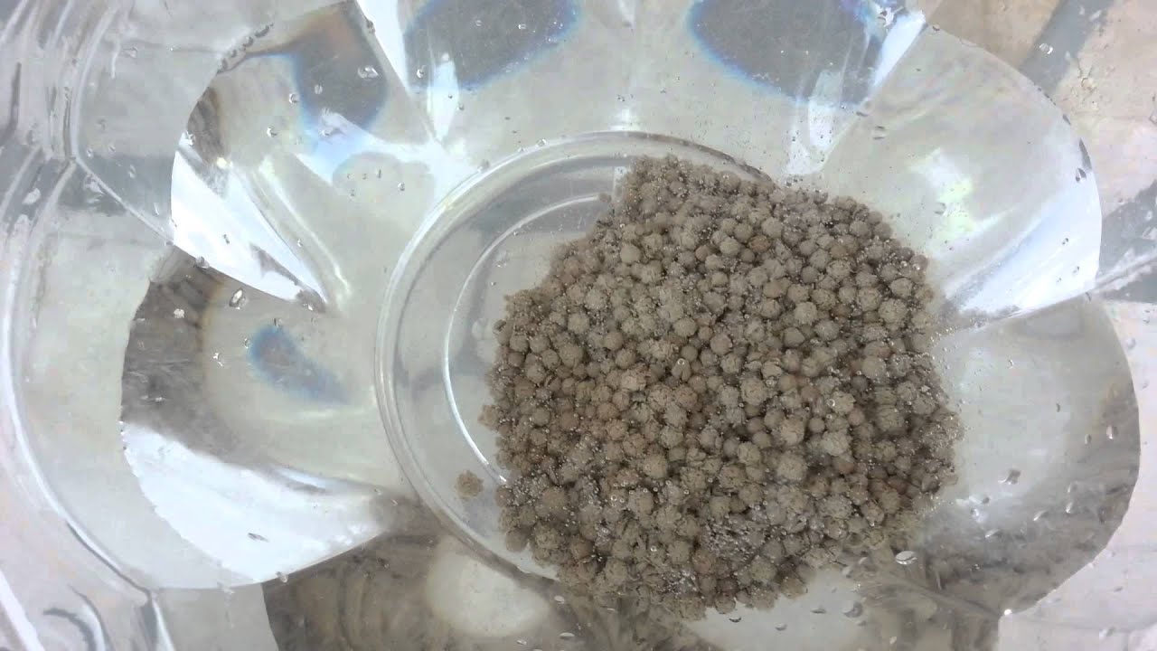 Silica gel in water Experiment