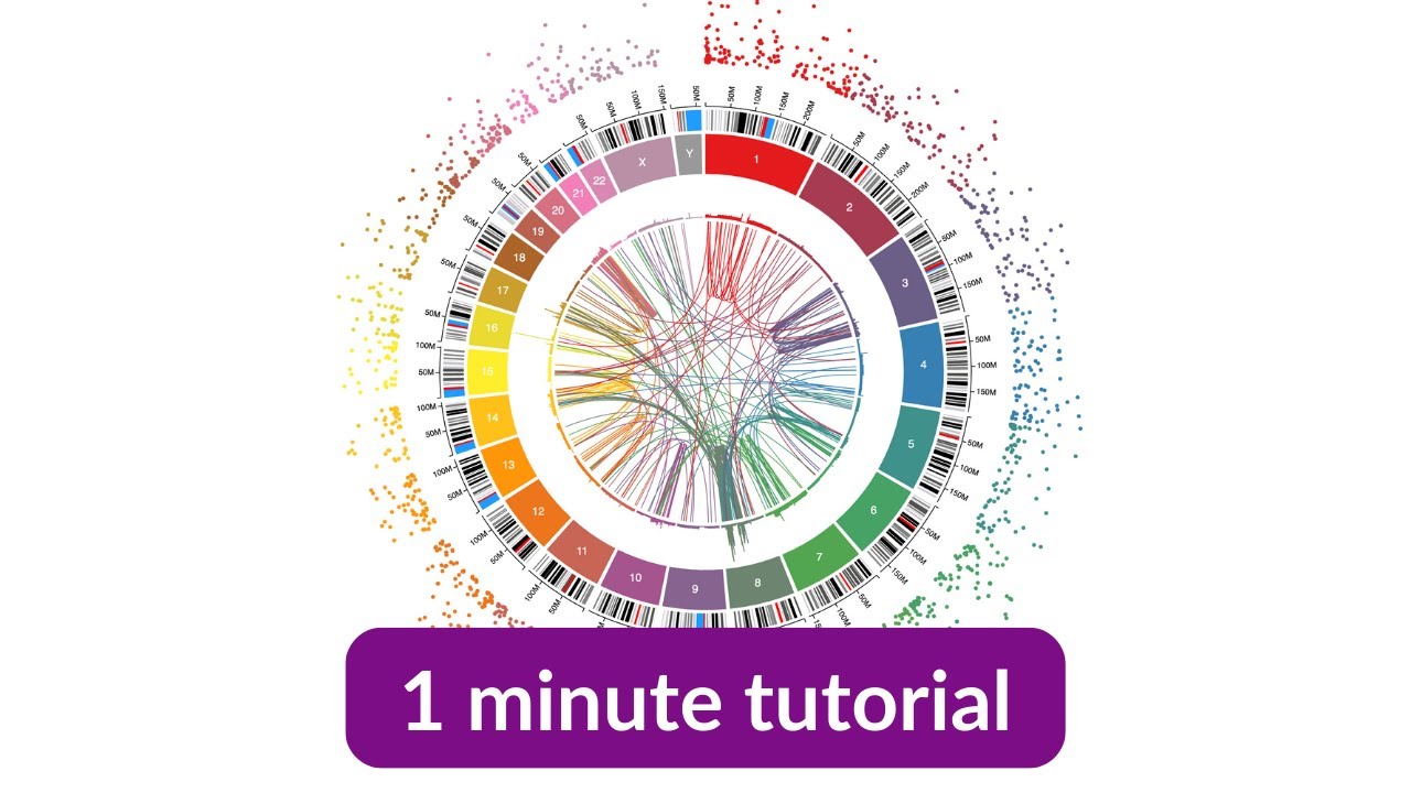 How to make this circos plot in 1 minute