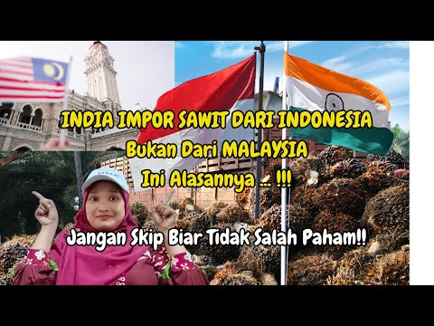 INDIA Impor Sawit Dari INDONESIA, Bukan Dari MALAYSIA, Kenapa?