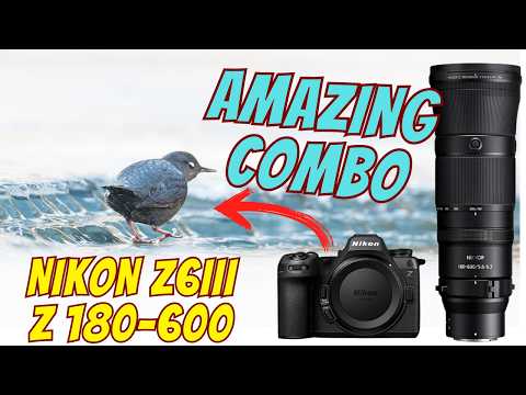 Nikkor Z 180-600mm + Nikon Z6 III: Great combo (wildlife photography)