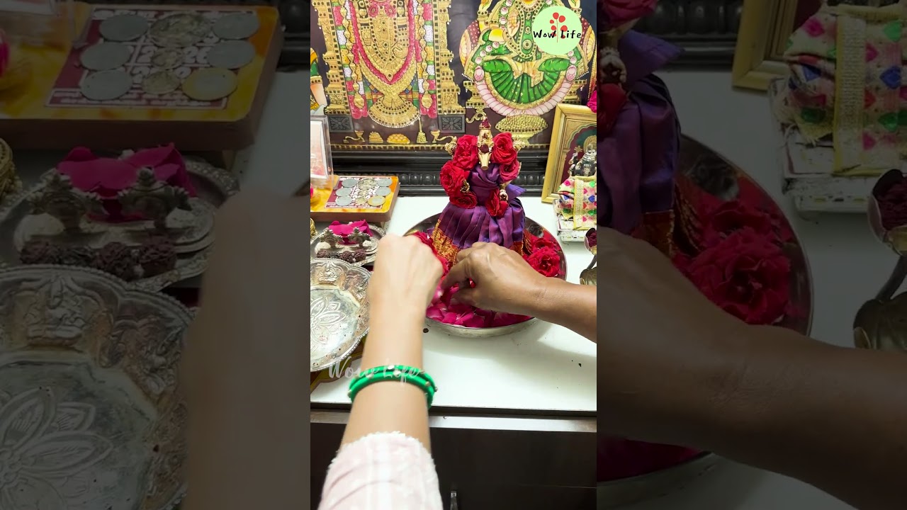 Ann வீட்டுக்கு வராஹி அம்மனின் வருகை ❤️| #shorts | Wow Life