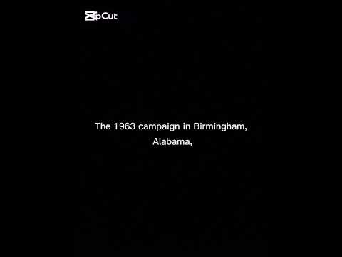 The Civil Rights Movement | Essay | Grade12