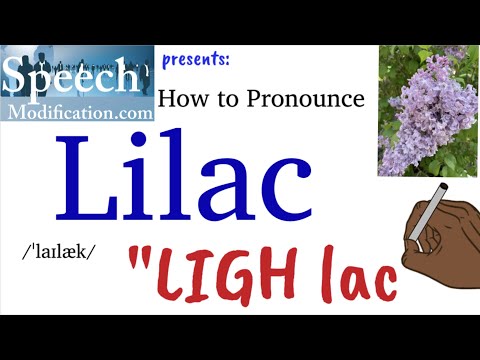 How to Pronounce Lilac