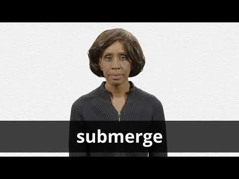 SUBMERGE definition in American English | Collins English Dictionary