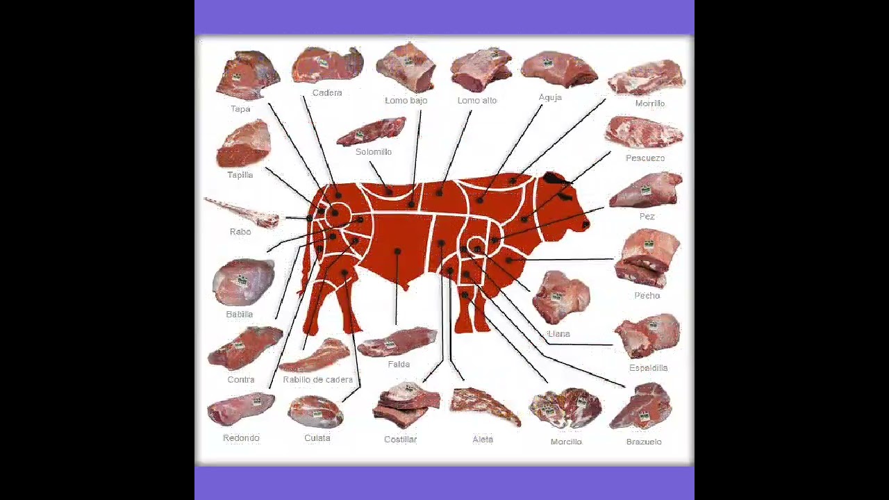 ✅ Cortes de carne que todo carnicero debe conocer ✍️