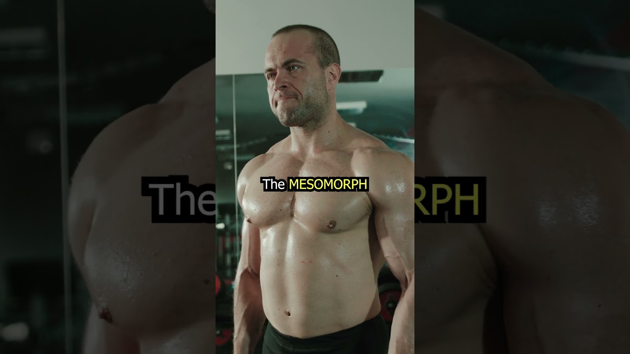 Three Body Types in a Nutshell