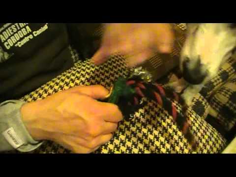 Effortless BugaLoop Count collar del grano Mordedor 1 | prewarmmisjudging