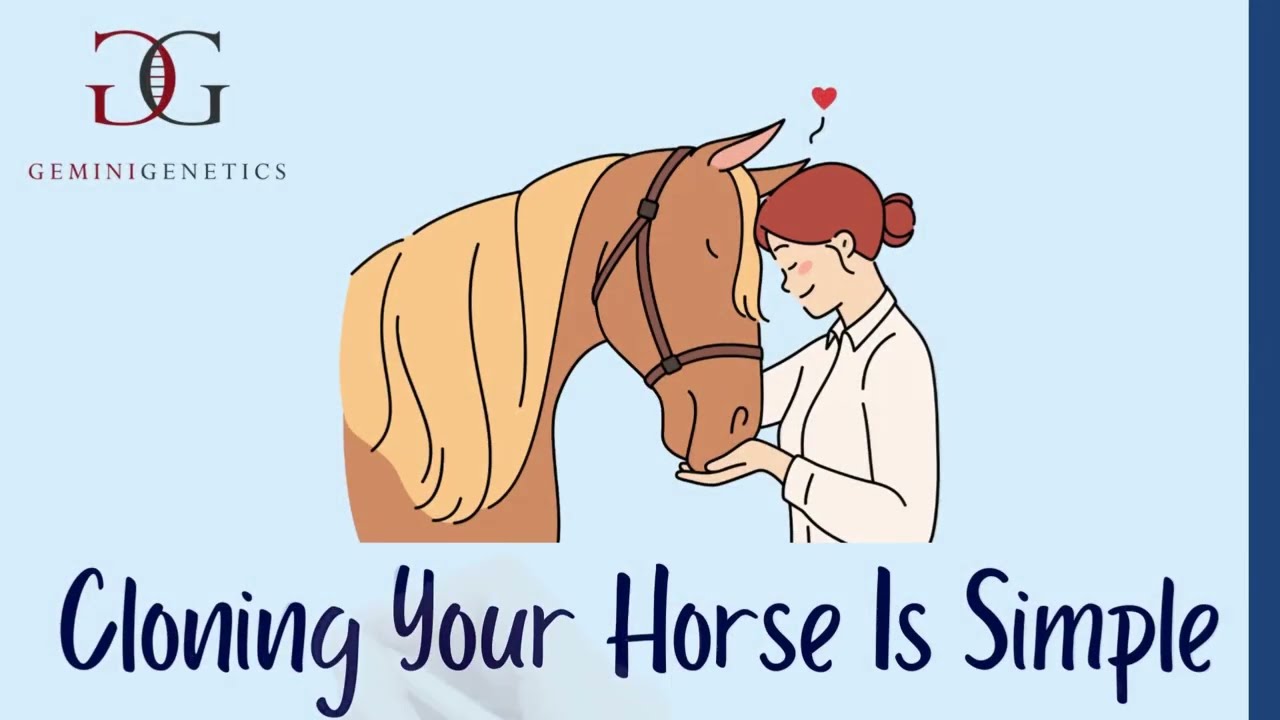 Horse Cloning At Gemini Genetics