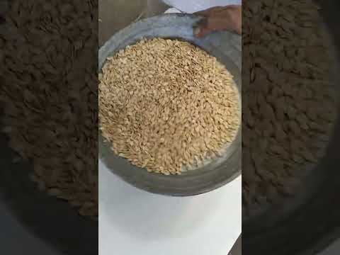 Magajtari - Wholesale Price & Mandi Rate for Magaj Seeds