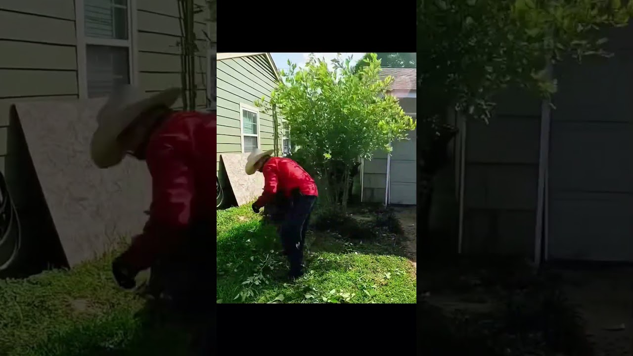 #short #shorts #mowing #edging #cleanup #asmr #satisfying #sbmowing #cleaning