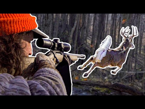 TOP 5 DEER DRIVES! - 5 Bucks DOWN!