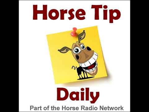 Horse Tip Daily #839 by State Line Tack – International Society for Equitation Science and Rein T...