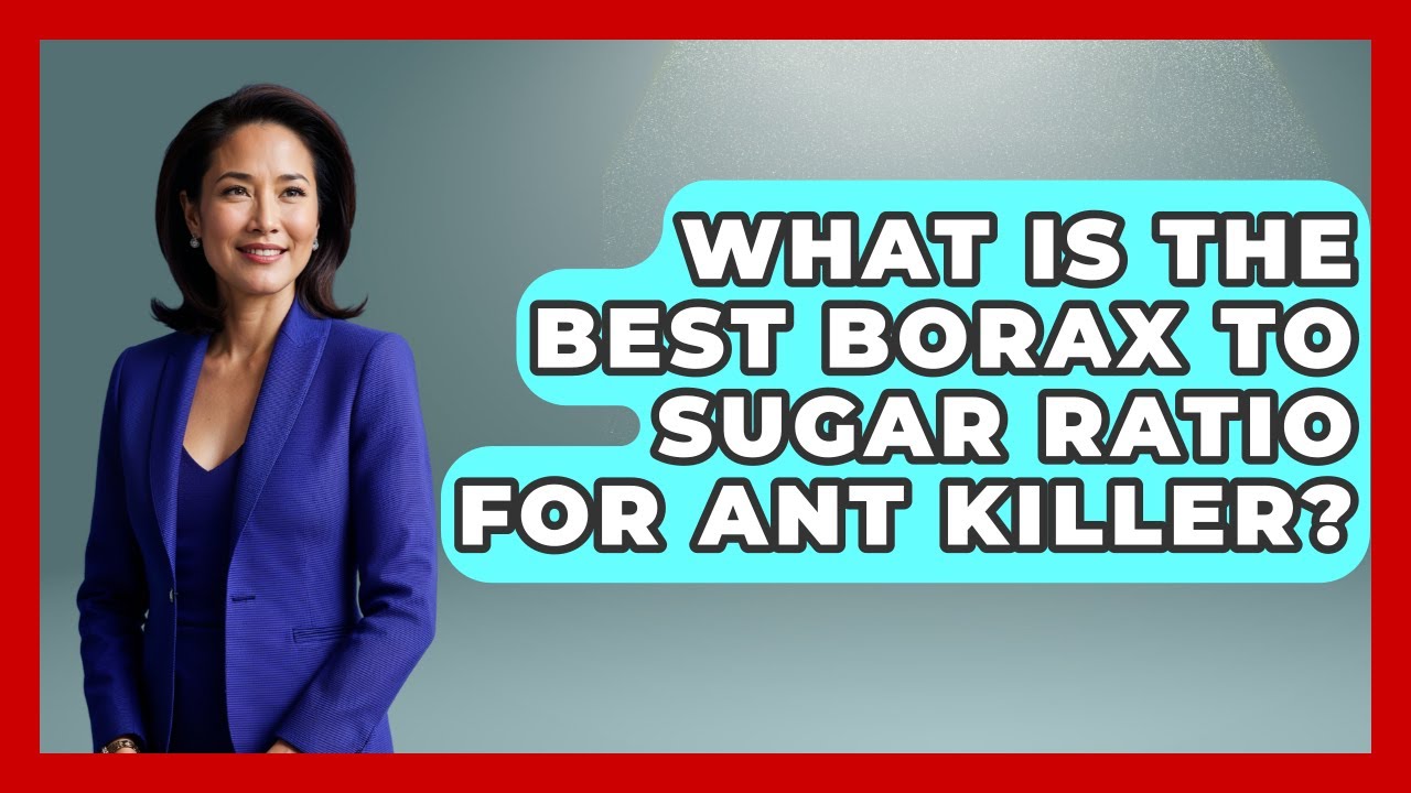 What Is The Best Borax To Sugar Ratio For Ant Killer? - Insects and Invaders