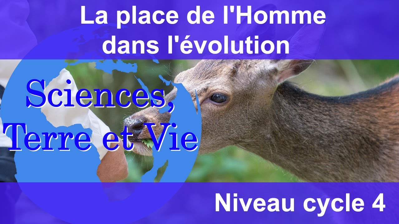 La place de l'Homme dans l'évolution