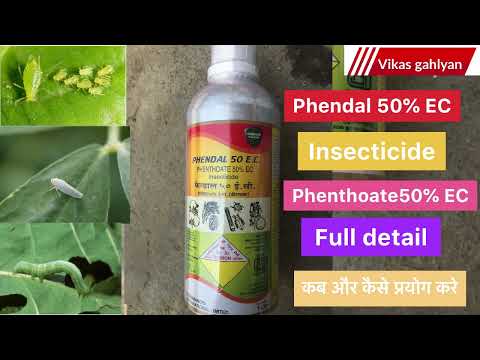 Coromandel Cement Wholesalers & Distributors in India