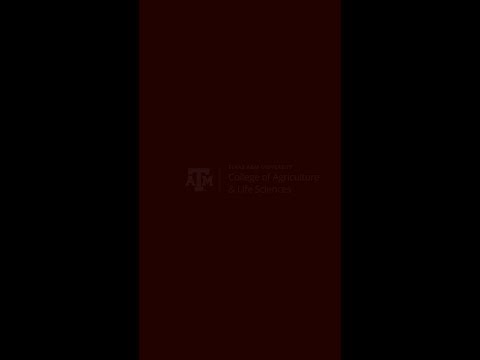 What Are You Looking Forward to This Semester? Part 1