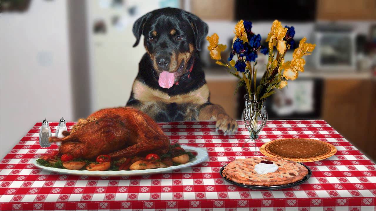 01I Workflow Example (Part 1)