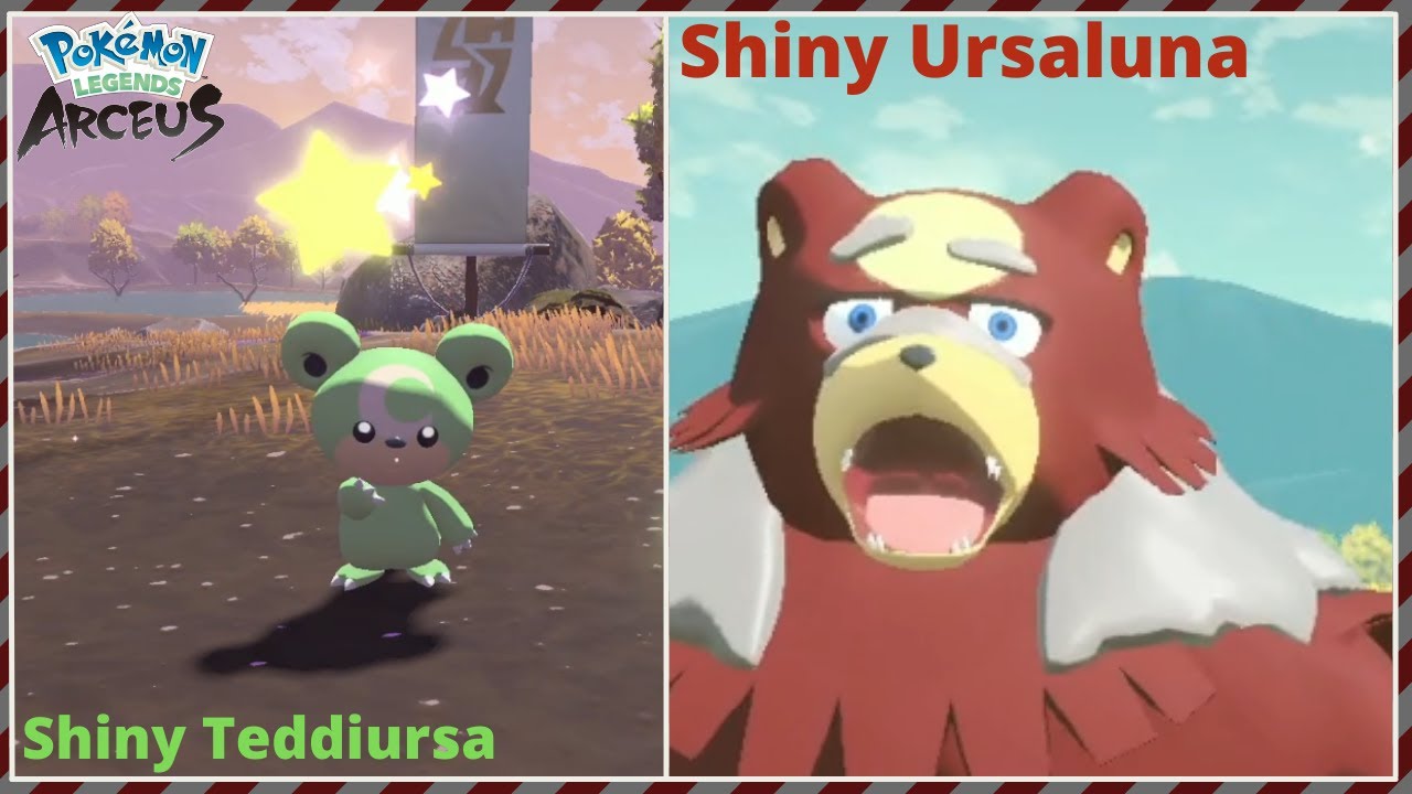 [Live] Shiny Teddiursa + Shiny Ursaluna evolution showcase. [Pokemon Legends Arceus]