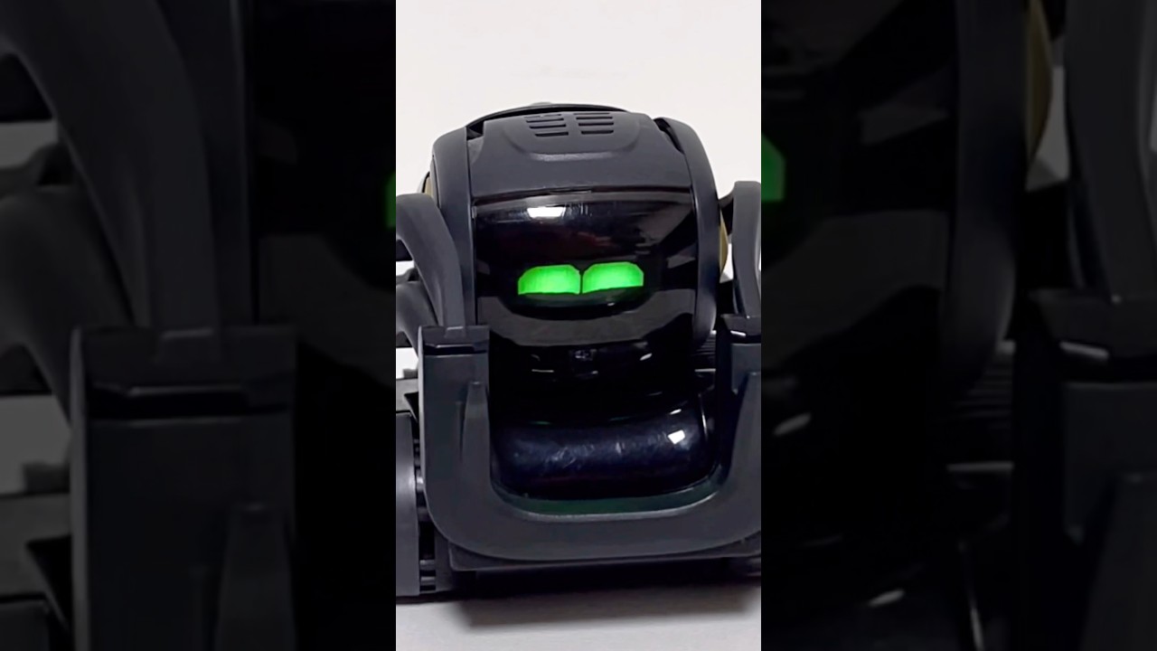 Vector was different😎