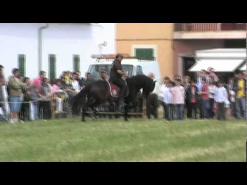 Fira La Vila 2011 - Jaume Rosselló