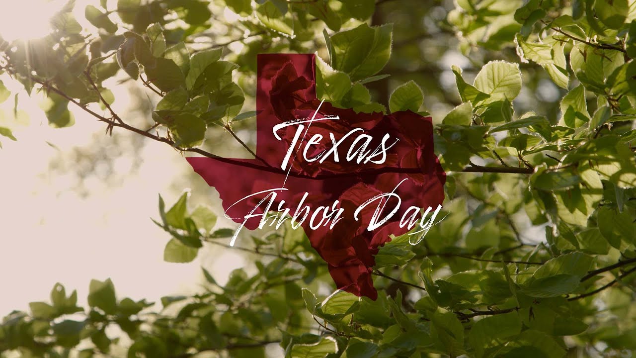Texas Arbor Day | Take Care of Texas
