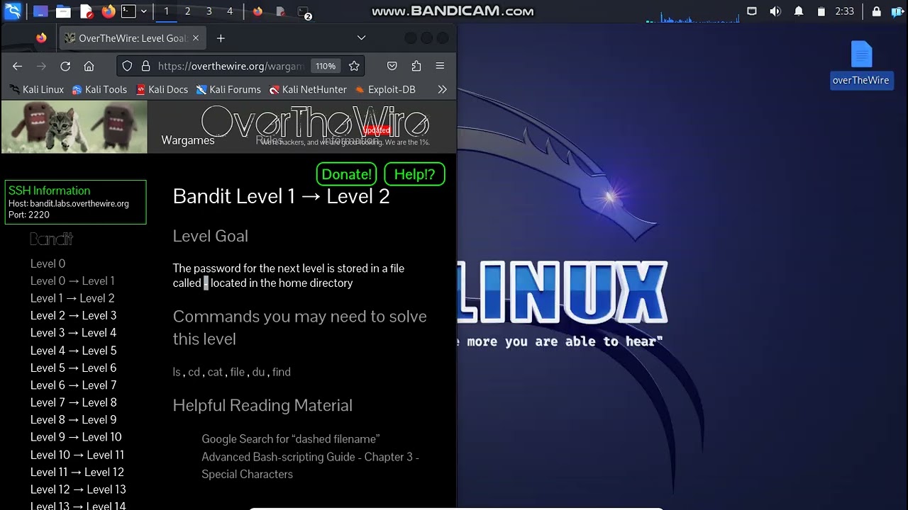 Cracking the Code: OverTheWire Bandit Level 1 Walkthrough (Beginner Friendly)