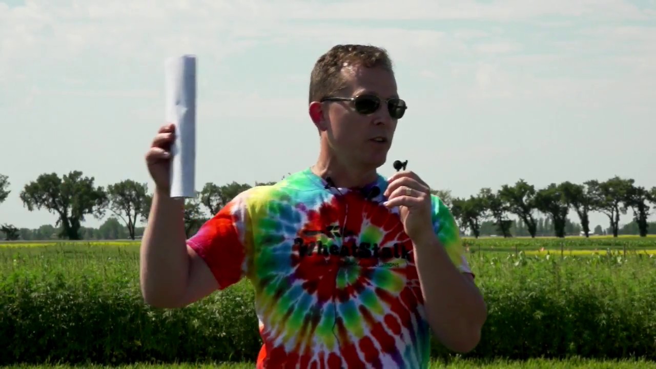 Closing the wheat yield gap through agronomy