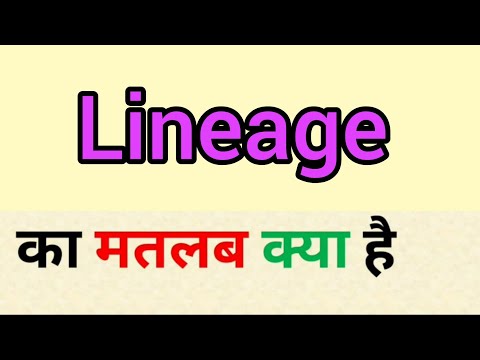 Lineage meaning in hindi || lineage ka matlab kya hota hai || word meaning english to hindi