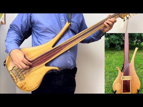 Handmade Fretless 10 String Bass 2024 - Oil | Reverb
