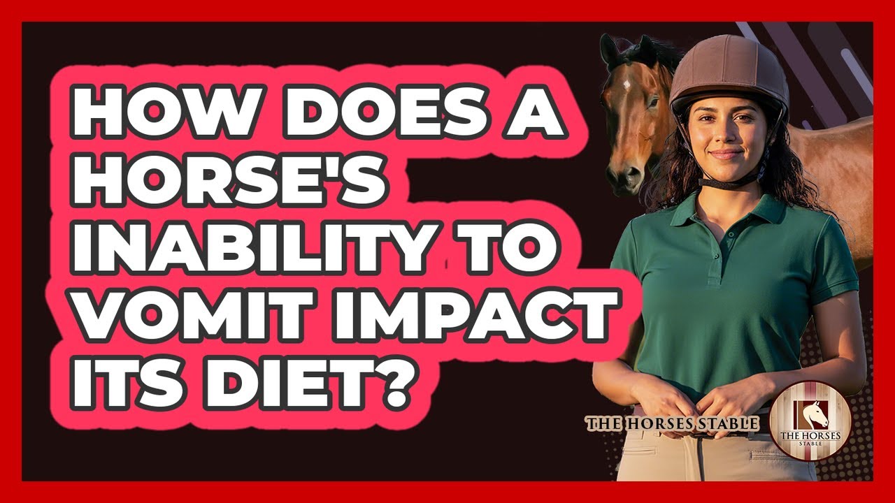 How Does A Horse's Inability To Vomit Impact Its Diet? - The Horses Stable
