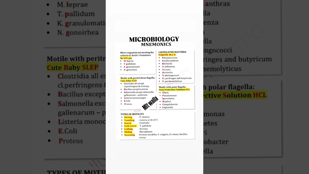 Microbiology mnemonics #bacteria #medical #microbiology #student #exam