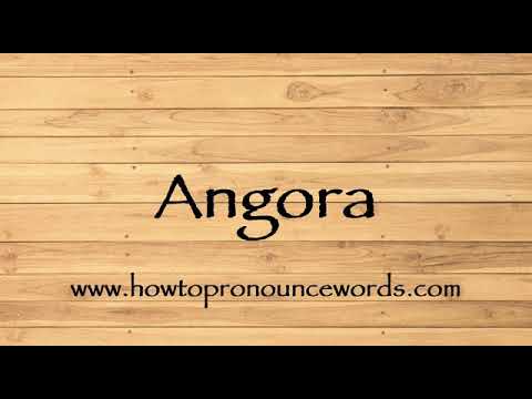 How To Pronounce Angora ? How To say Angora New Video