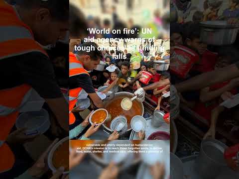 OCHA A Lifeline in the Face of Global Catastrophe