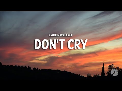 Caiden Wallace - Don't Call (Lyrics)