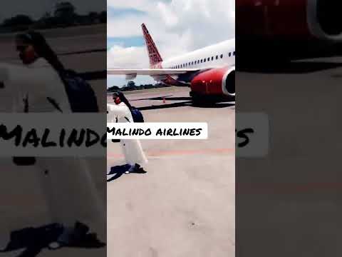 Malindo airlines