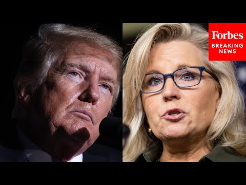 Liz Cheney Accuses Trump Of 'Supreme Dereliction Of Duty'