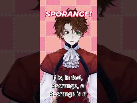 Is there a word that rhymes with Sporange?!?!