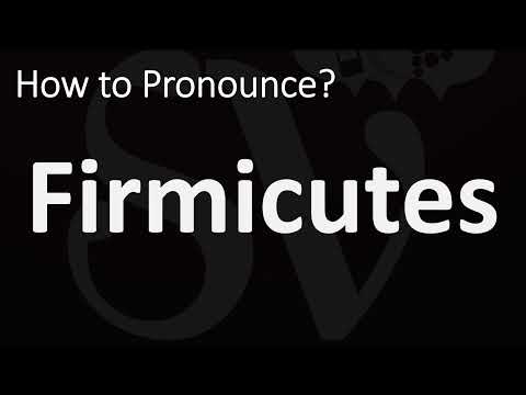 How to Pronounce Firmicutes? (CORRECTLY)