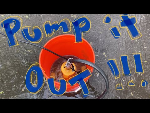 Remove standing water issues using the Wayne WaterBUG or any pump