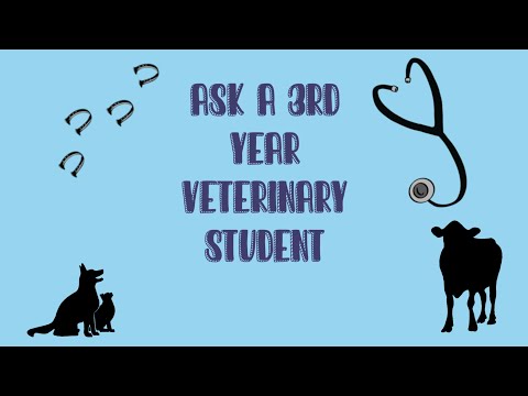 De-Influencing Veterinary School: What you need to know from CSU Vet Students 💚🩺