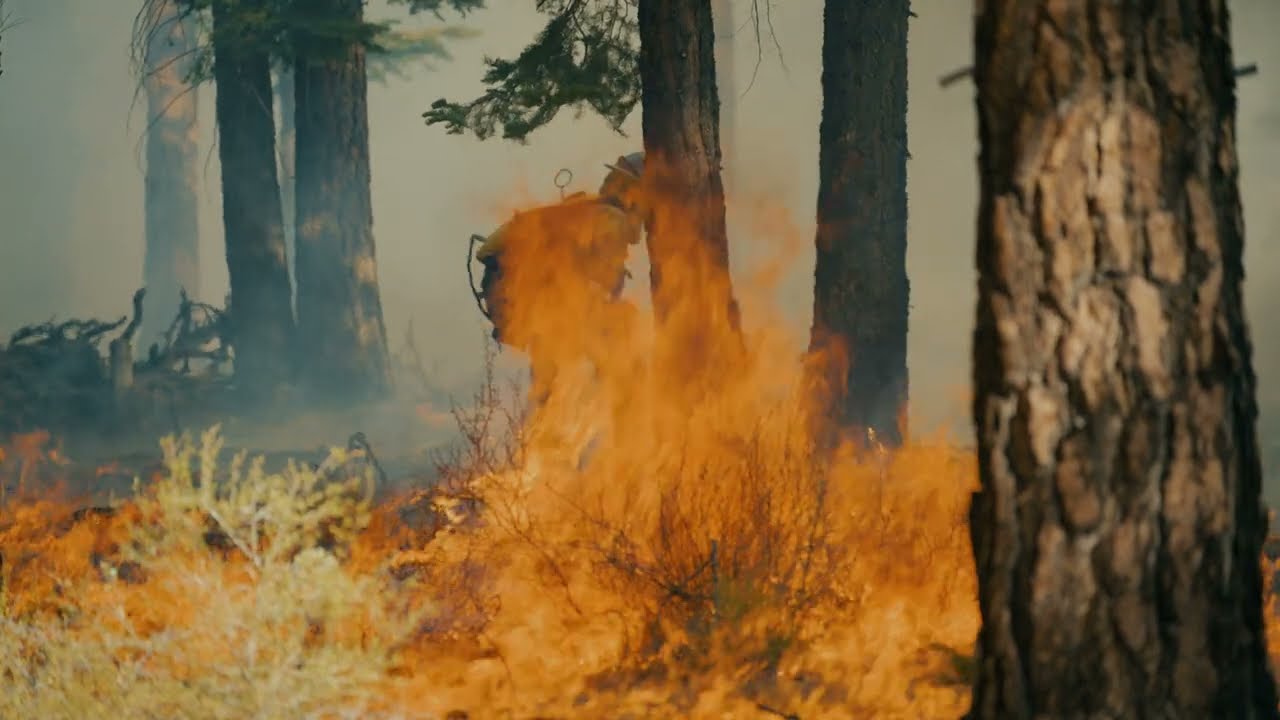 May is Wildfire Preparedness Month: Are You Ready Truckee?