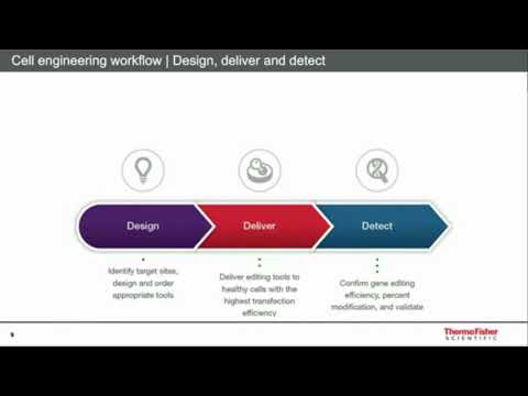Analyzing your CRISPR gene editing efficiencies using flow cytometry