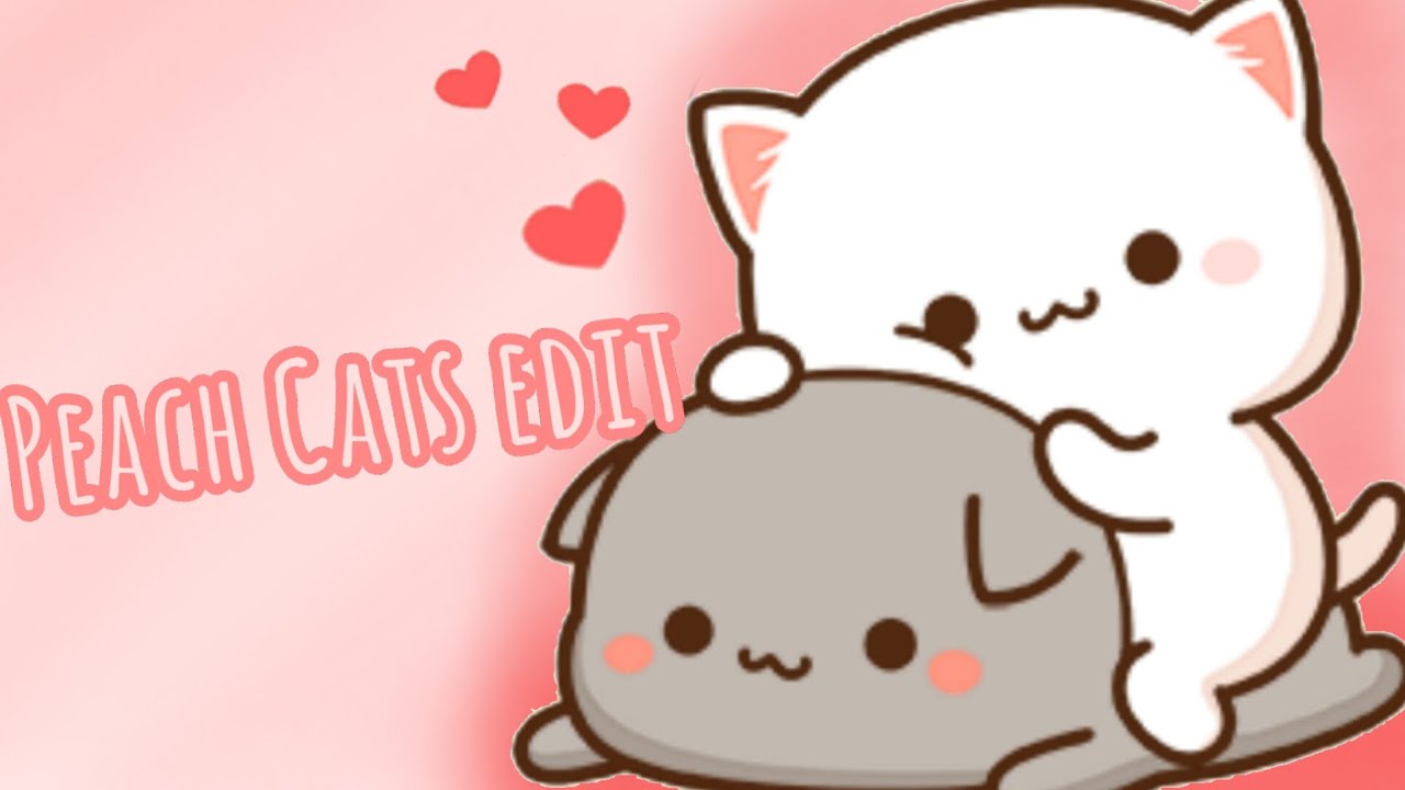 Peach Cats GIF edit