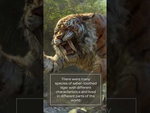 Facts About Saber Tooth Tiger #shorts #facts #myths #viralshorts #youtubeshorts #trendingshorts