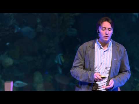 Rosetta: A Journey to Our Origins | Nicolas Altobelli | TEDxBerkleeValencia