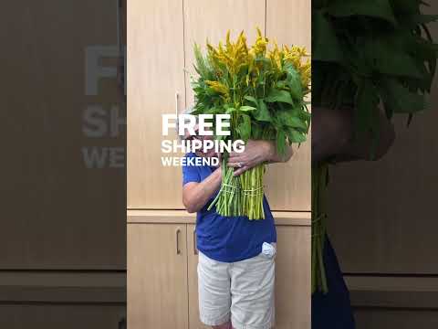 Comment APP and I’ll DM the link! All in stock garden tools, flower seeds, my books, and awesome