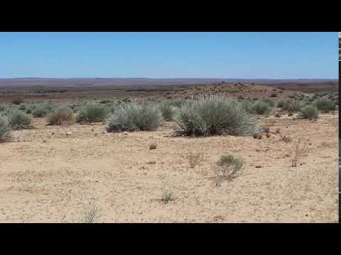namibia africa a landscape with sparse vegetation