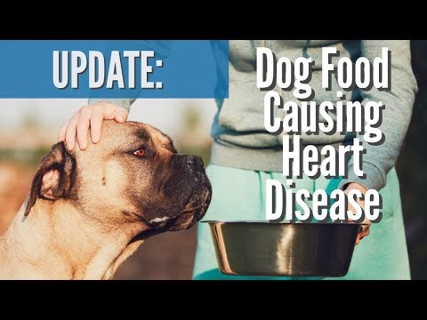 [New Update] Dog Food Causing Heart Disease